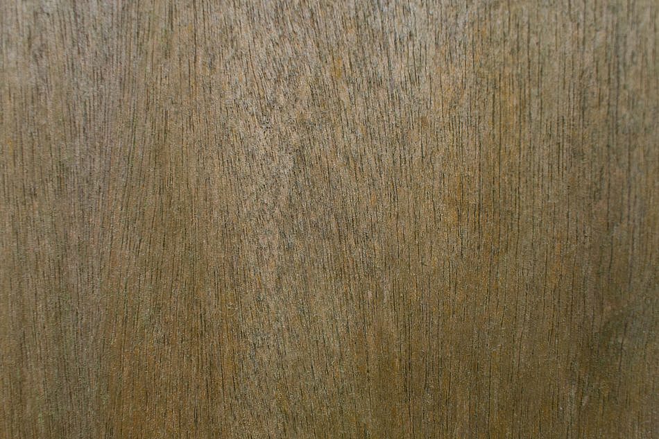 wood-16 - artreference.org