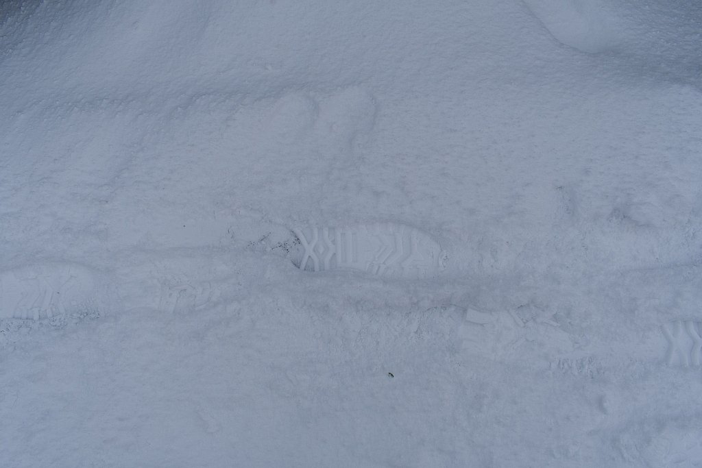 Snow-2 - artreference.org