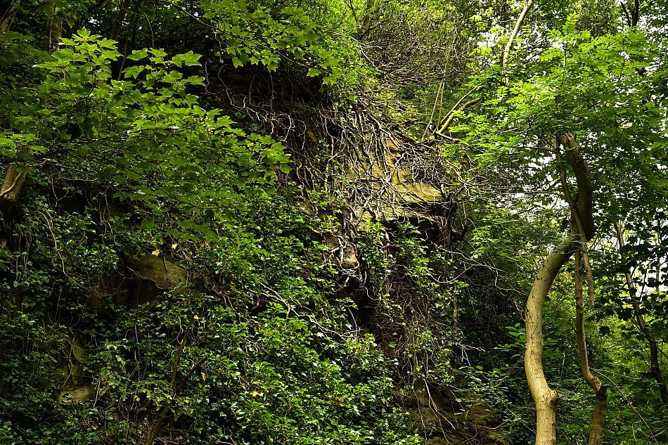 Nature-18 - artreference.org